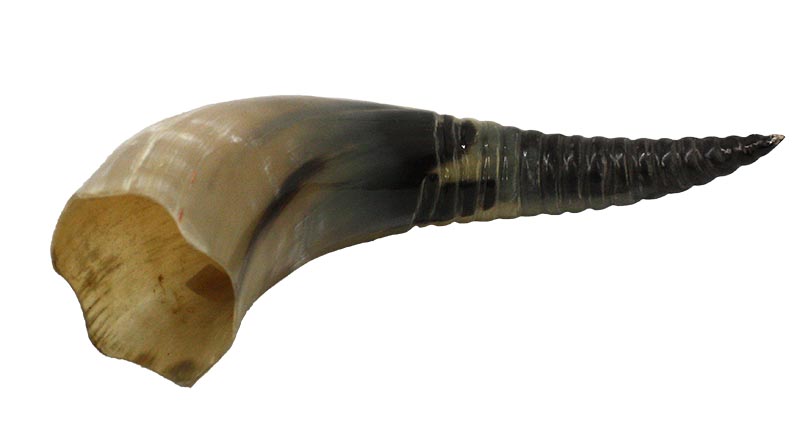 CORNE AVEC GRAVURE (1000ML) / ACCESSORIES / HORNS