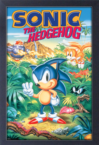 SONIC THE HEDGEHOG - "SONIC 3" PICTURE FRAME (13" X 19")